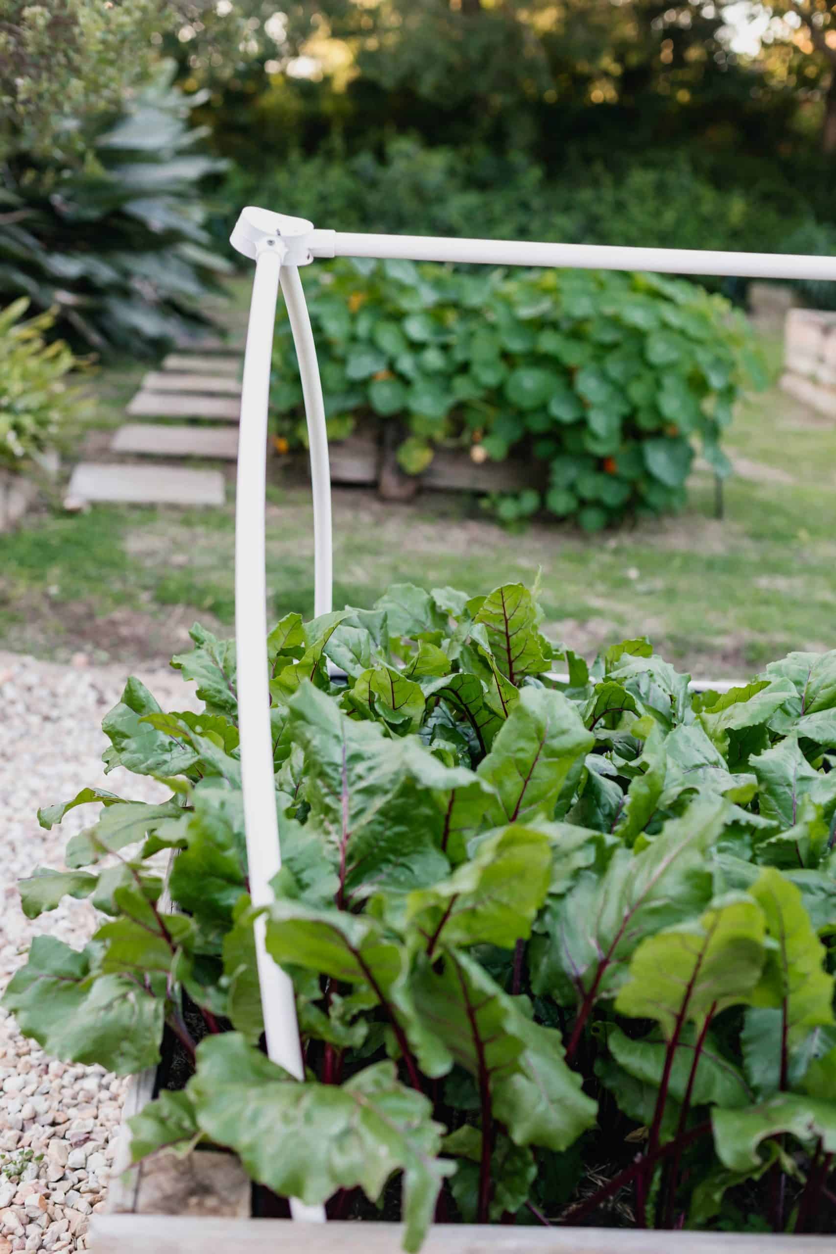 15 Basic Homemaking Skills Every Modern Homemaker Should Know