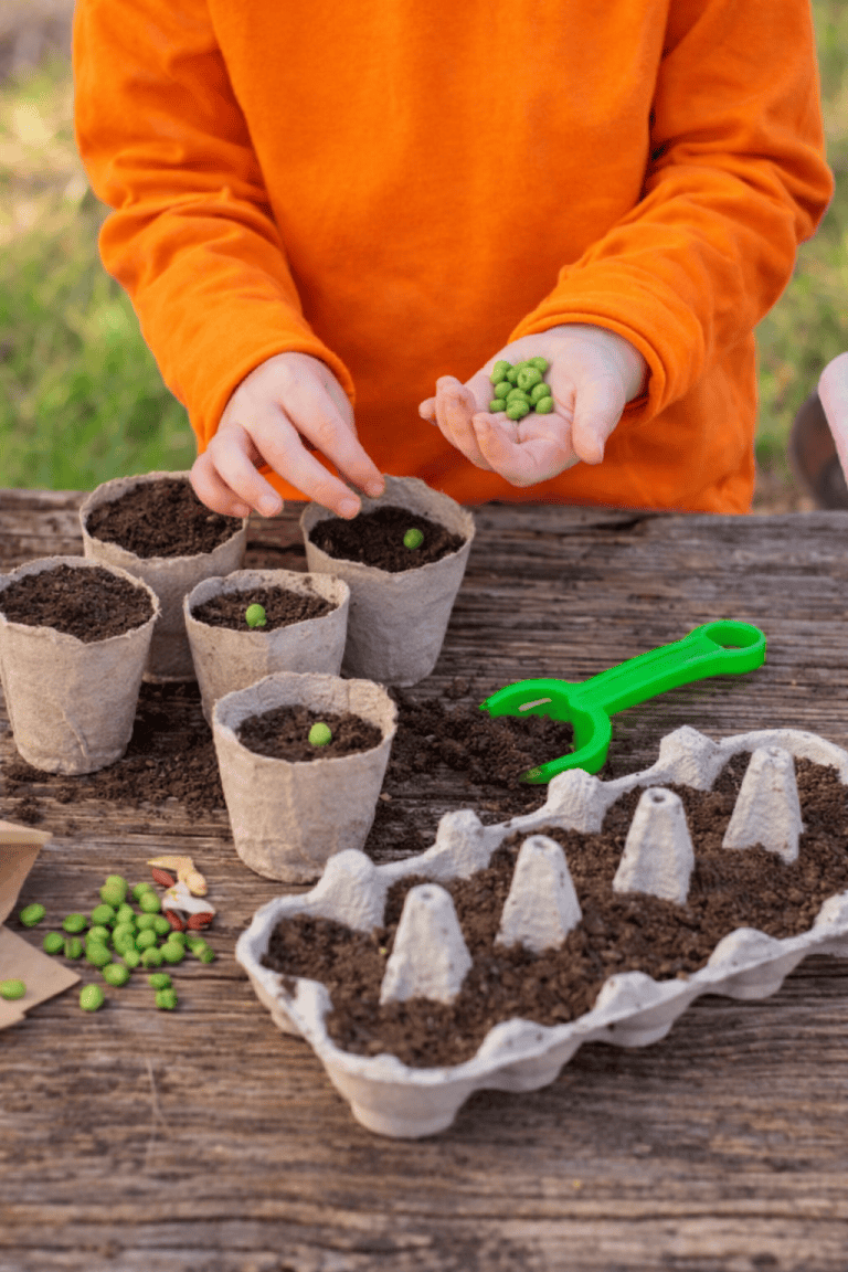 10 Nature-Inspired Forest School Activities Perfect for Spring ...