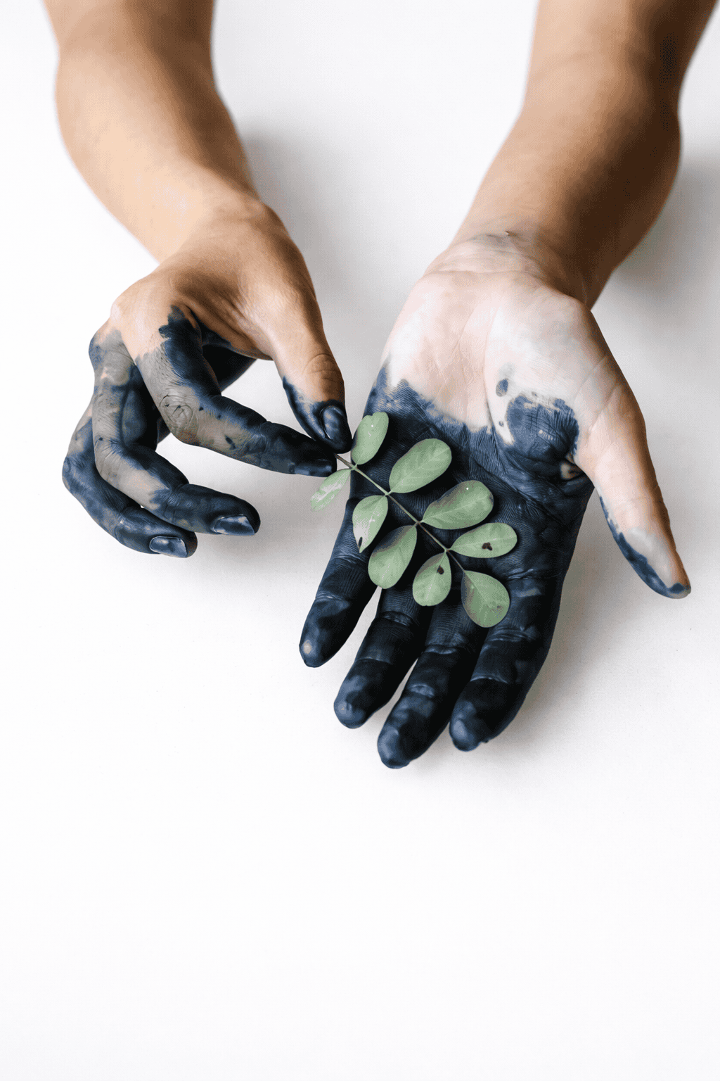 8 Timeless Natural Dyes for Fabric (DIY Color From Plants)